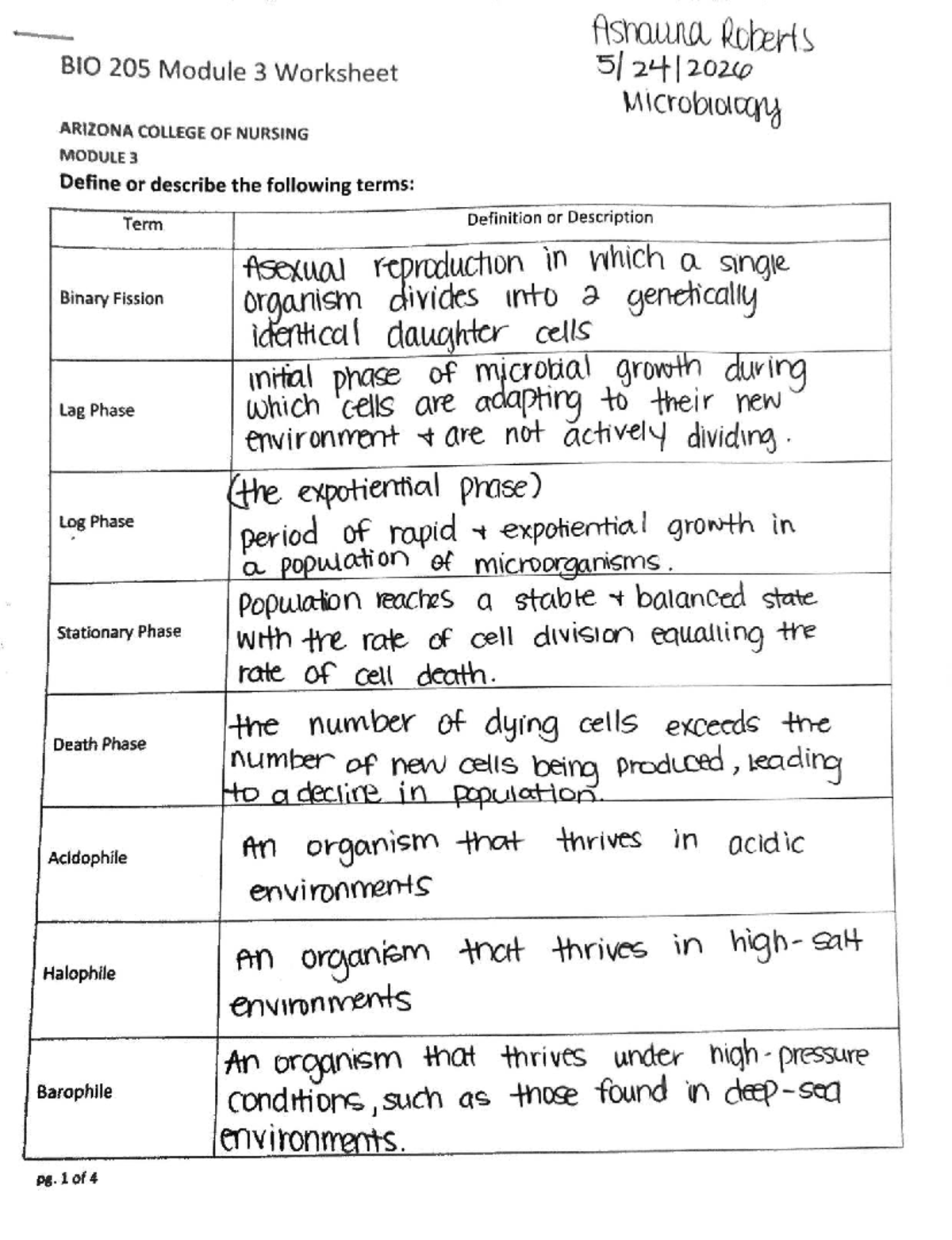 BIO 205 Module 3 Worksheet: Microbial Growth & Media Analysis - Studocu
