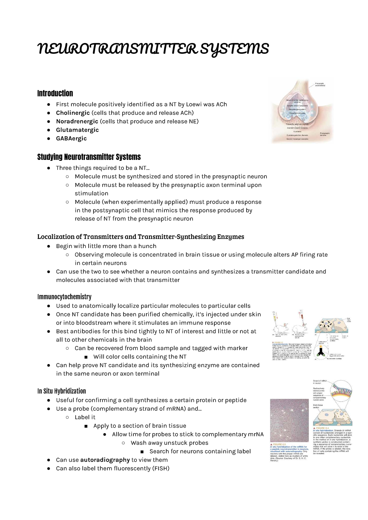 Chapter 6 Notes: Neurotransmitter Systems Overview - Studocu