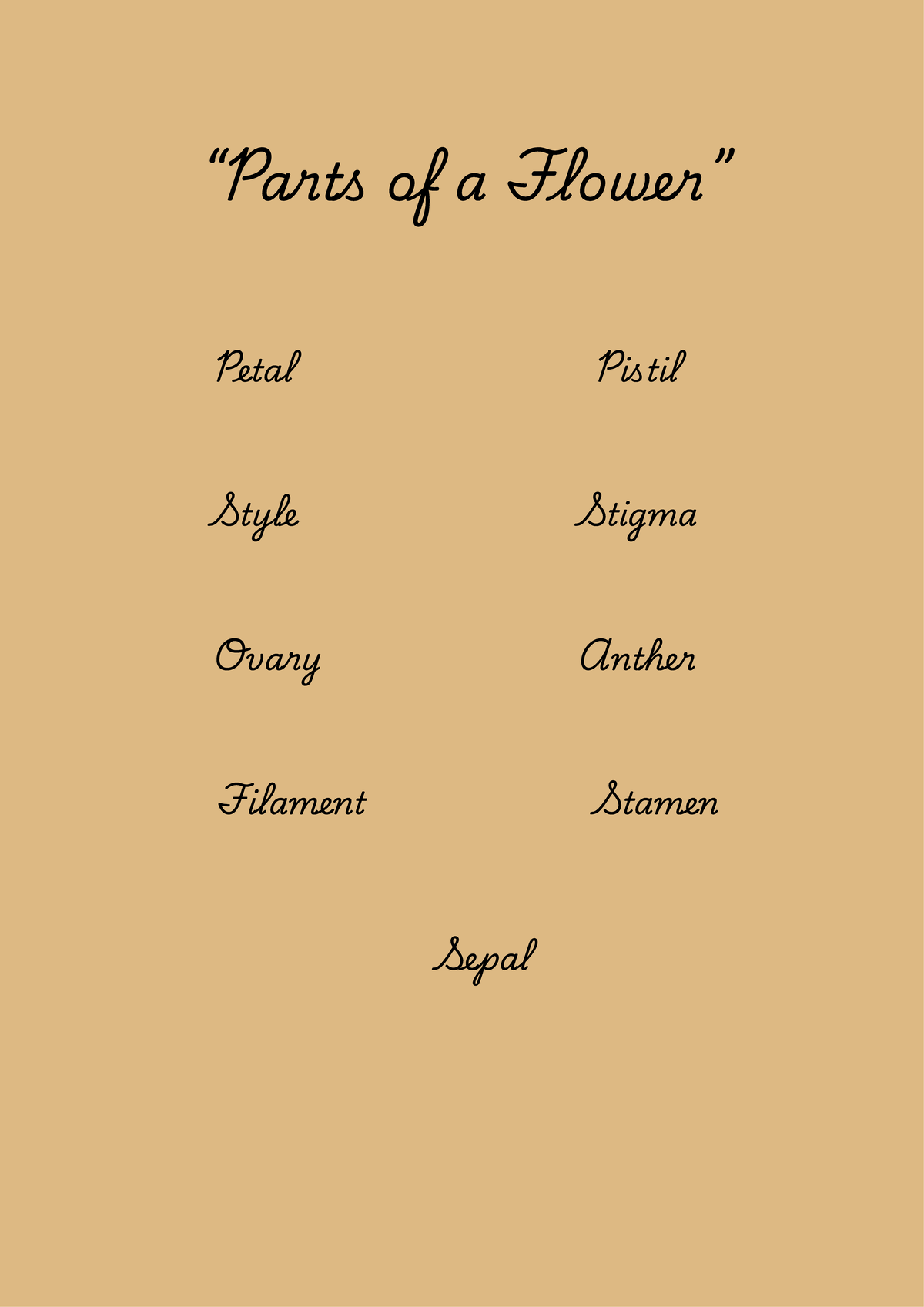 Parts of a Flower: Structure and Function Overview - Studocu