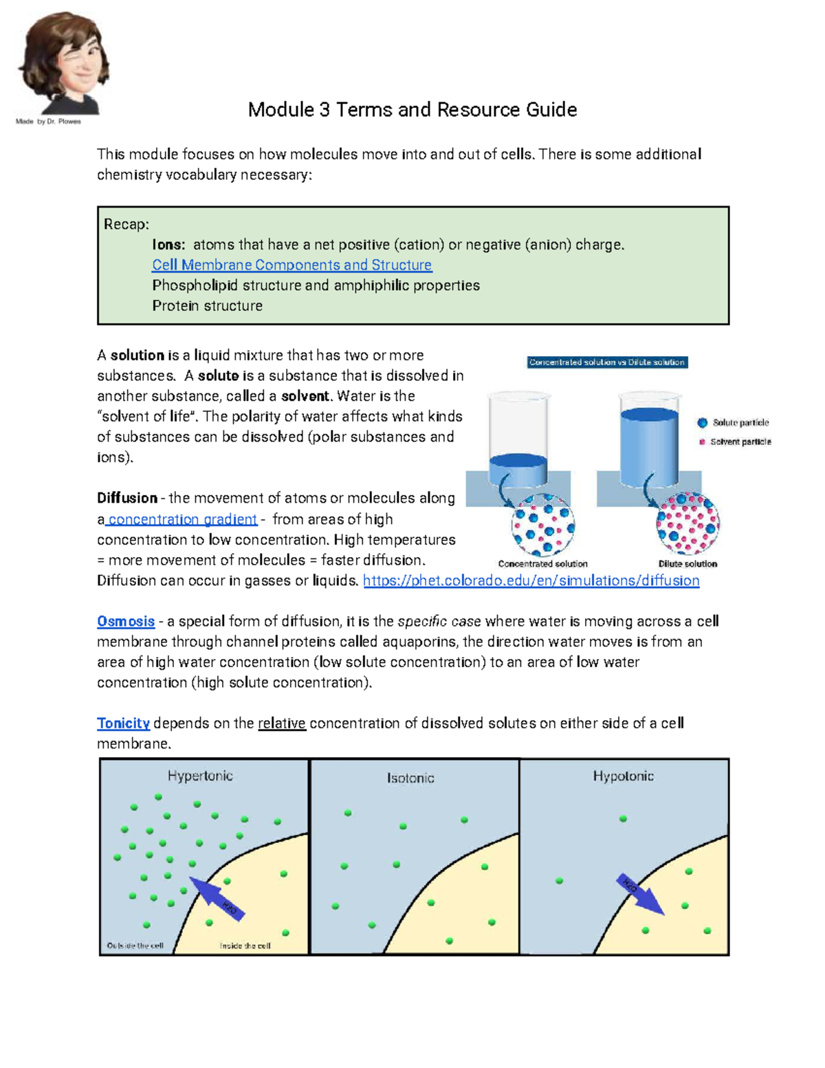 Module 3: Key Terms & Mechanisms of Cell Membrane Transport - Studocu