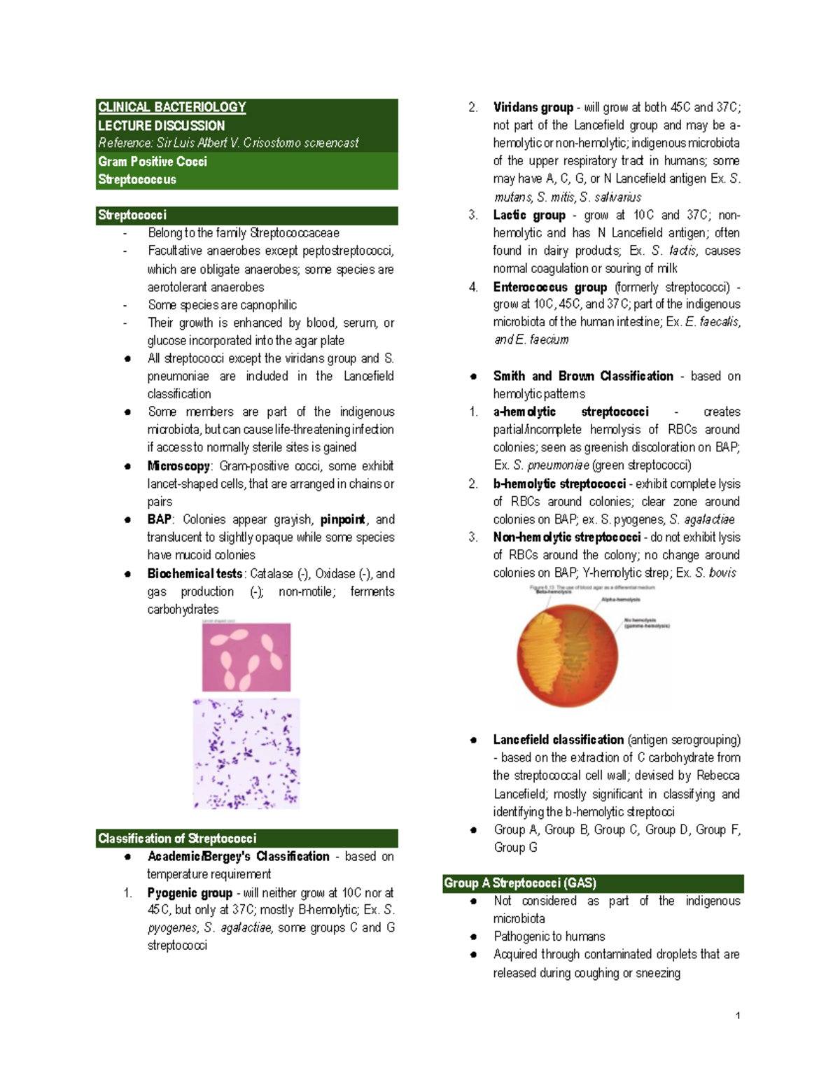 Bacte LEC 5: Clinical Insights on Gram Positive Cocci - Streptococcus ...