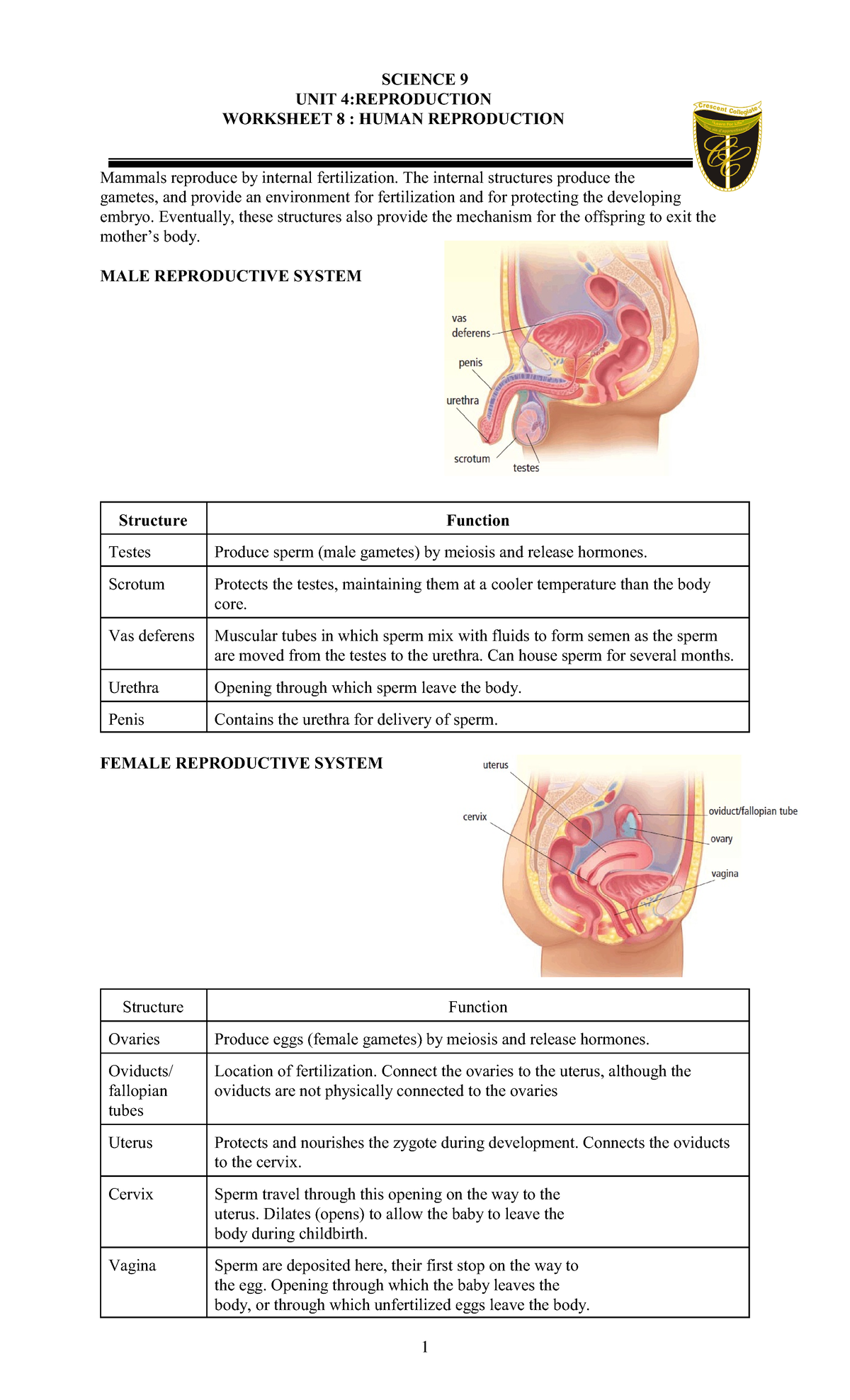 Worksheet 8: Overview of Human Reproduction - Science 9 - Studocu