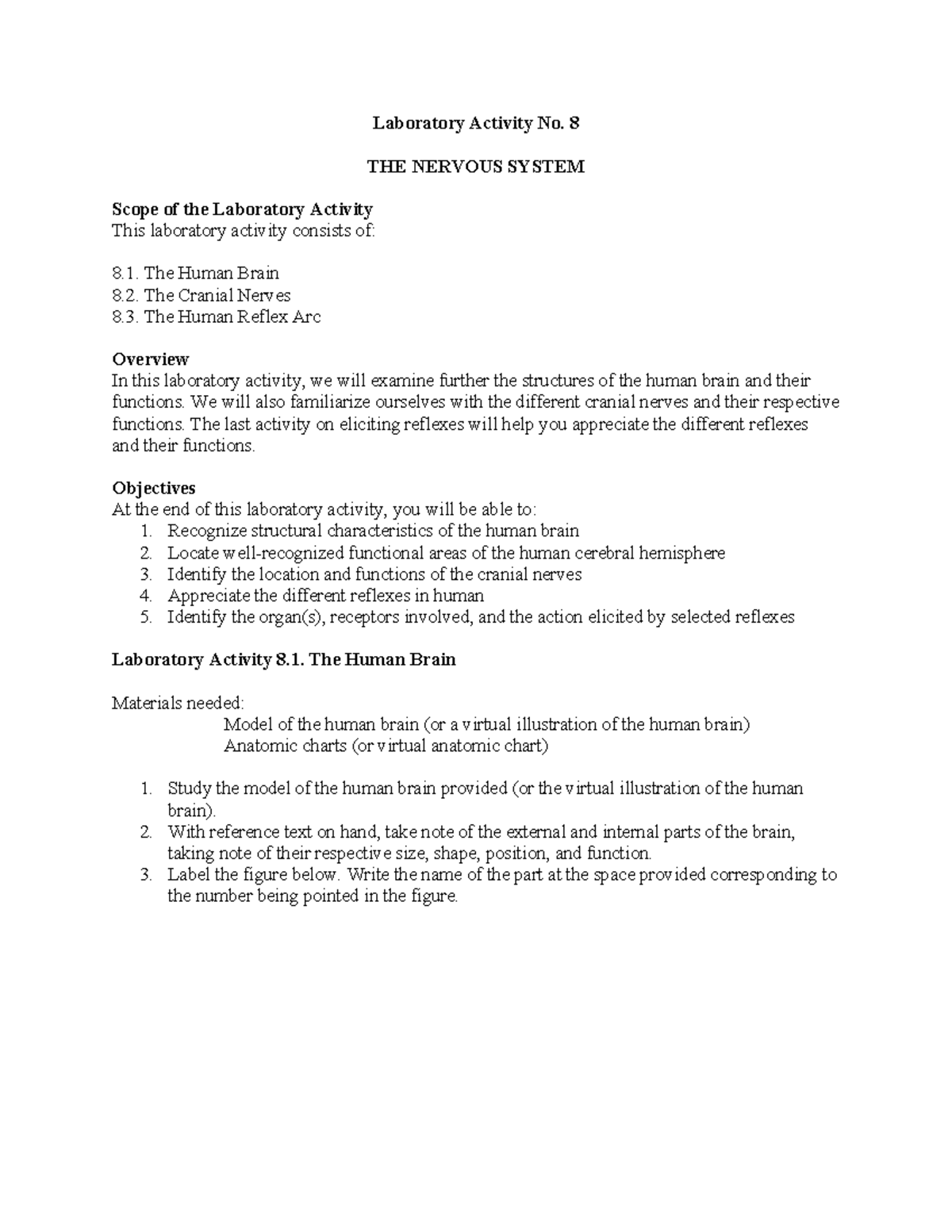 Nervous System Lab Activity 8: Brain, Reflex Arc, and Cranial Nerves ...