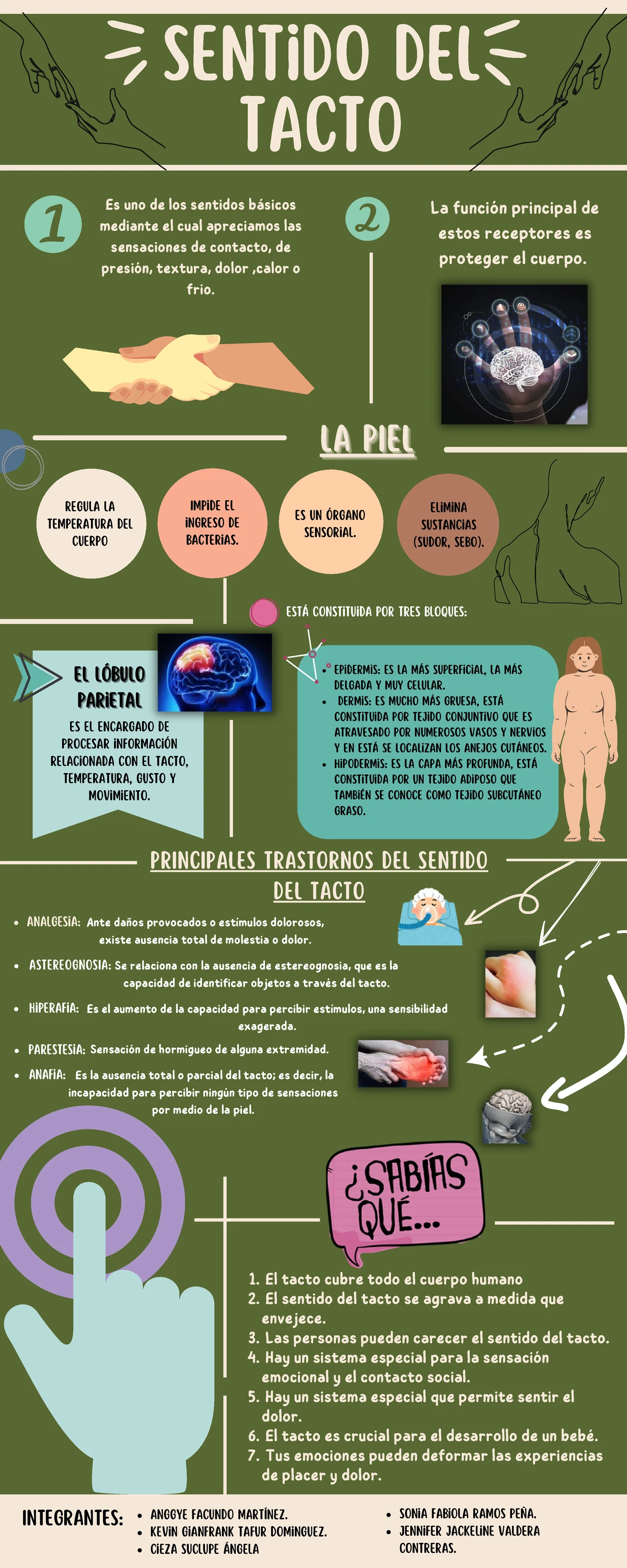 Ficha 02 CT - El Sentido del Tacto en Ciencia y Tecnología - Studocu