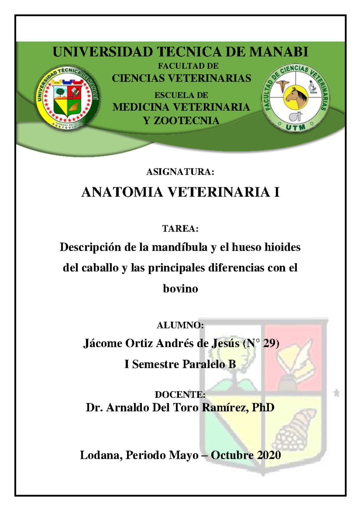 Descripción de la mandíbula y el hueso hioides del equino - Warning: TT: undefined function: 32 ...