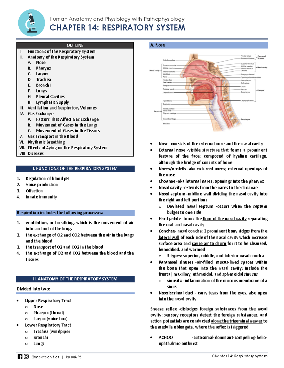Human Anatomy & Physiology: Chapter 14 - The Respiratory System - Studocu