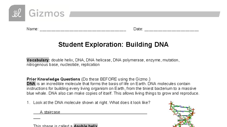 Building DNA Vocabulary: Key Concepts & Replication Process - Studocu