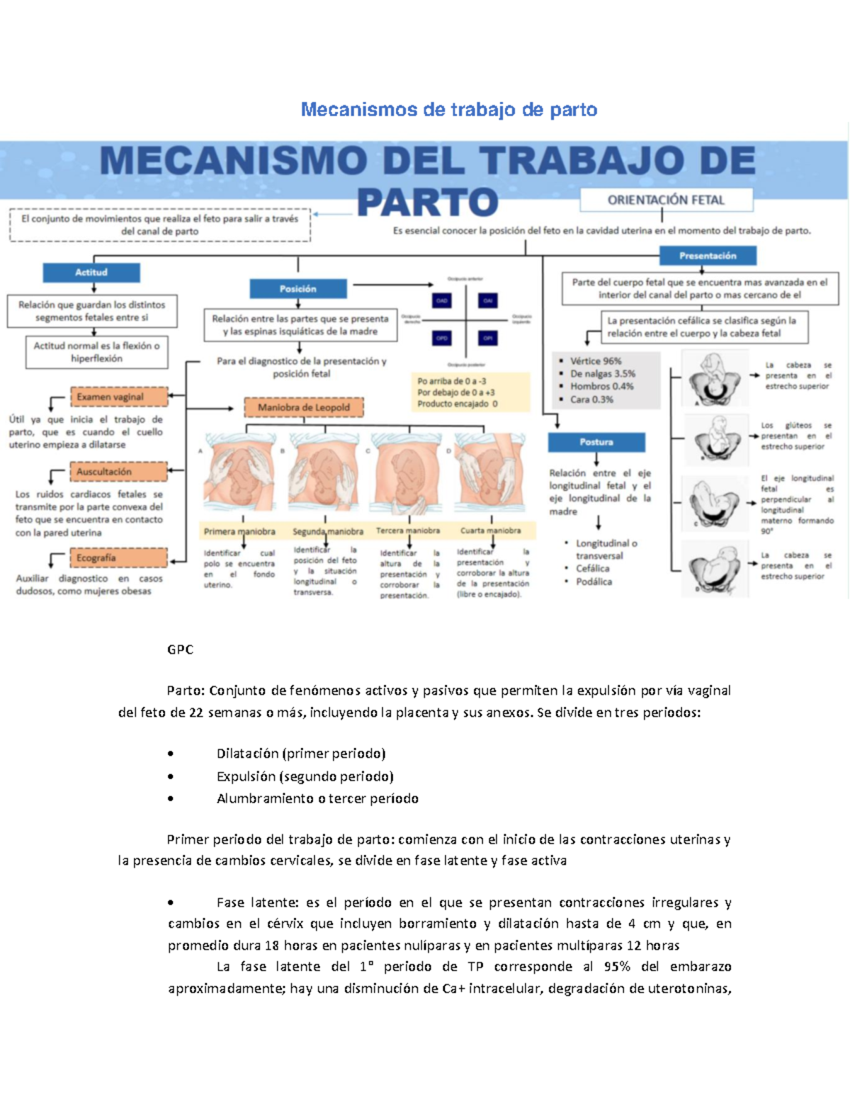 Guia segundo departamental: Mecanismos del Trabajo de Parto - Studocu