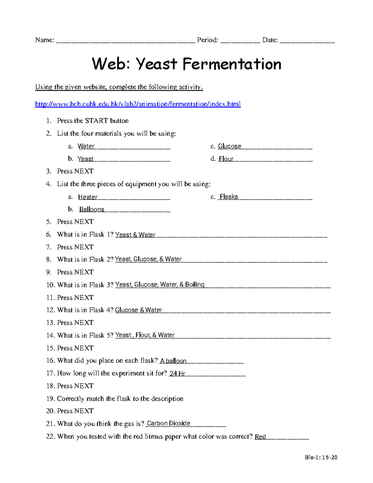Bio-1 Web Activity: Yeast Fermentation Experiment Instructions - Studocu