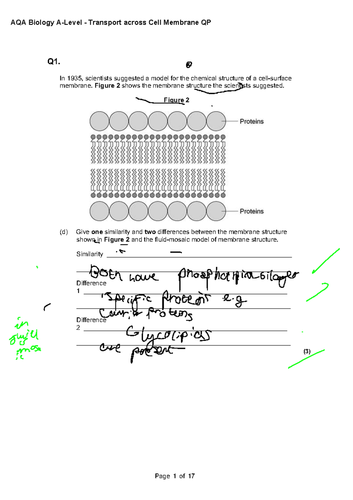AQA Biology 2.3 Transport across Cell Membrane Quiz Paper - Studocu