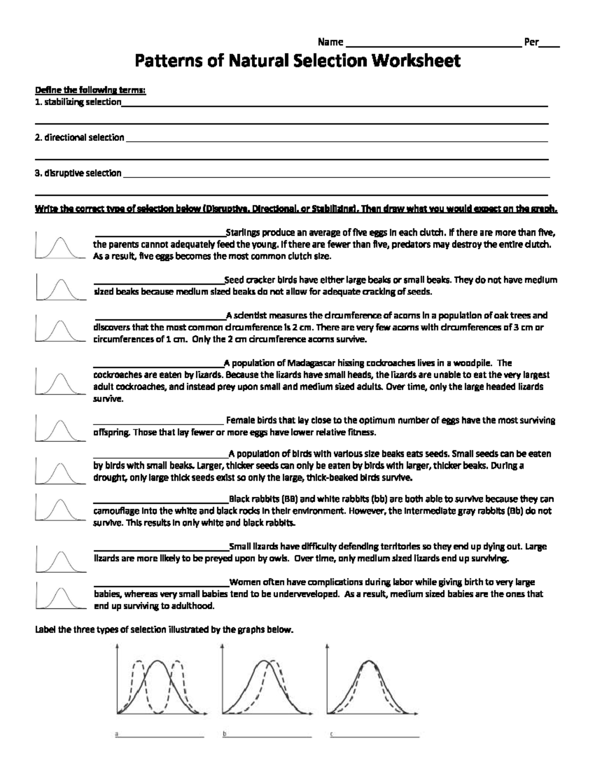 Natural Selection Patterns Worksheet: Definitions & Graphing for ...