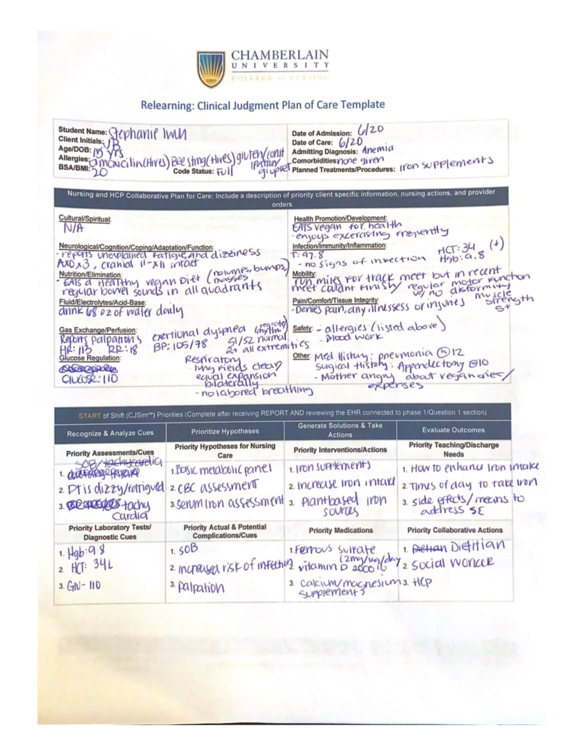 Relearning: Clinical Judgment Plan of Care Template for Nursing 101 ...