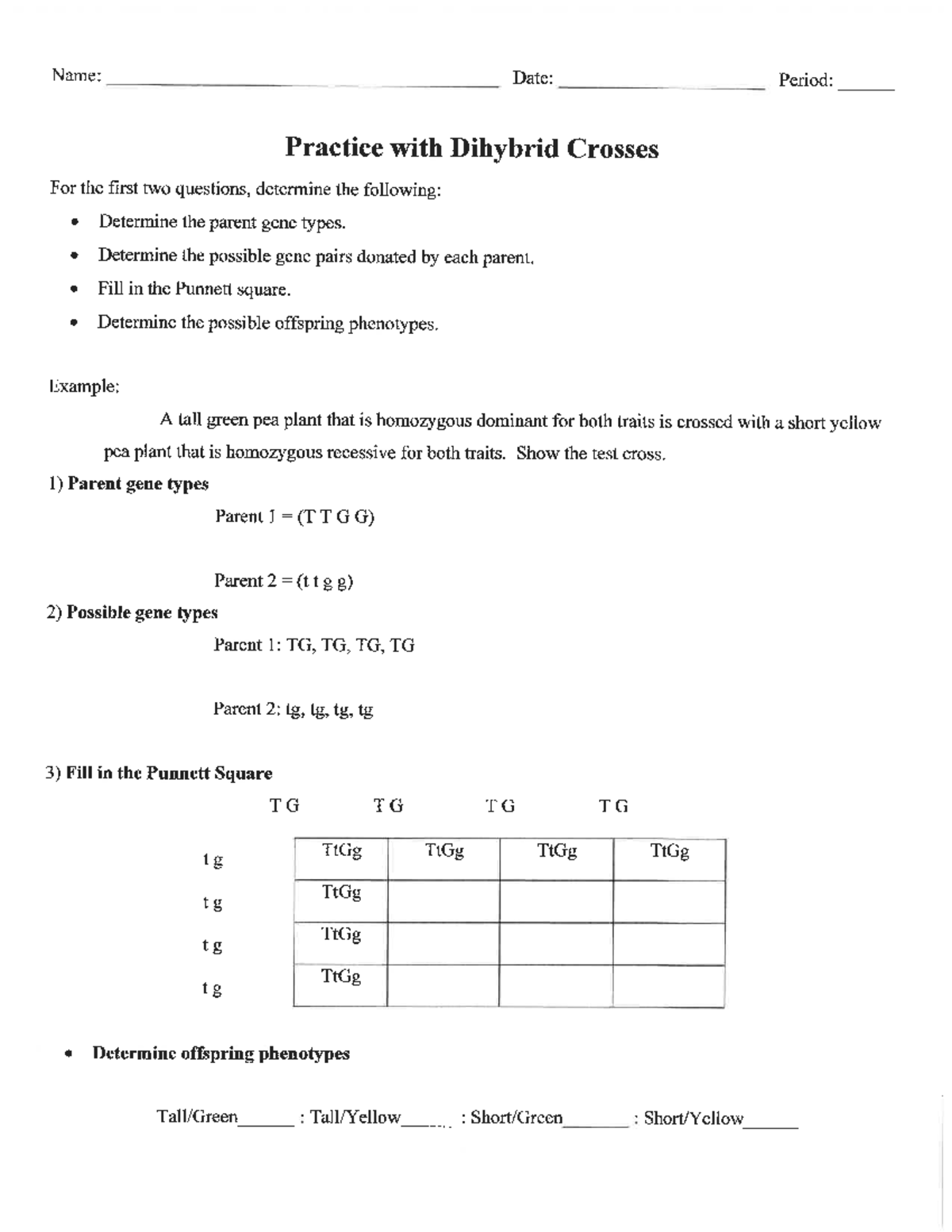 Practice with Dihybrid Crosses - Studocu
