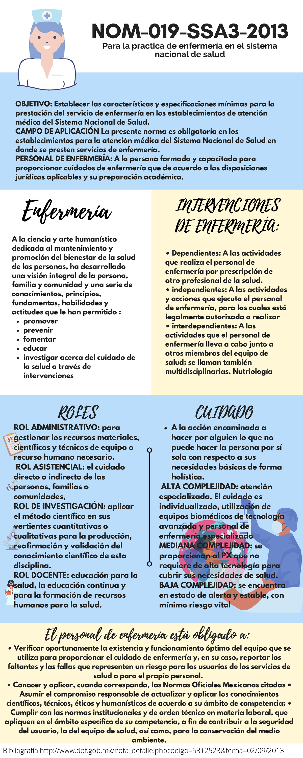 NOM 019: Directrices para la Práctica de Enfermería en el SNS - Studocu