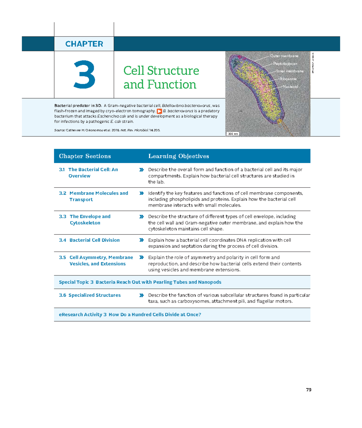 Microbiology 6: Chapter 3 - Bacterial Cell Structure & Function Overview - Studocu