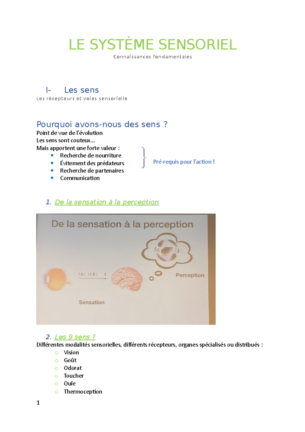 LE Système Sensoriel - LE SYSTÈME SENSORIEL Connaissances fondamentales ...