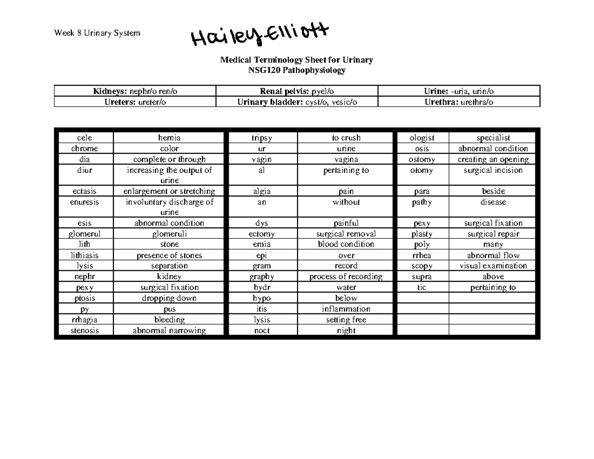 Module 8 Urinary - HERZING UNIVERSITY - Week 8 Urinary System Medical ...