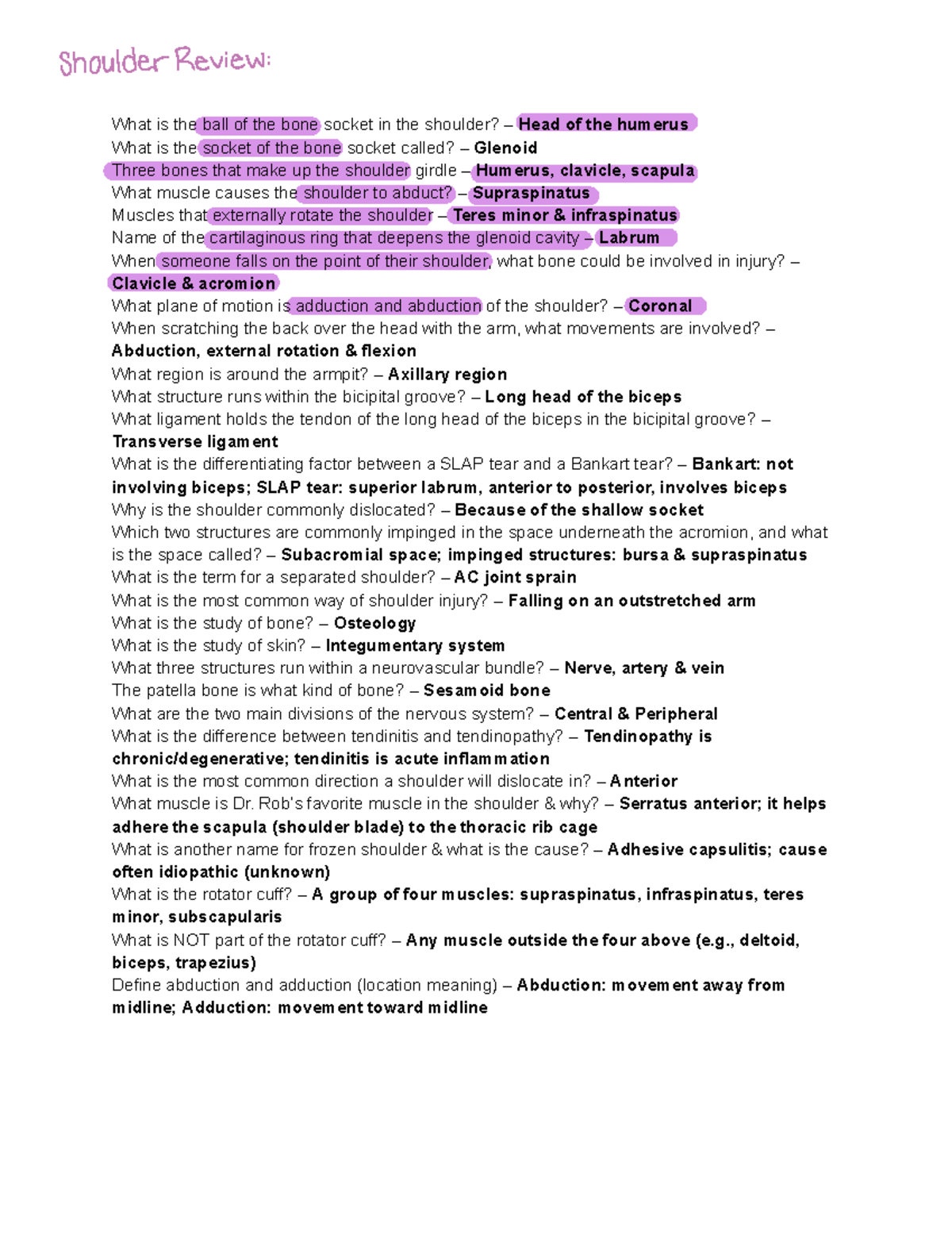 Shoulder Anatomy Review: Key Concepts and Structures - Studocu