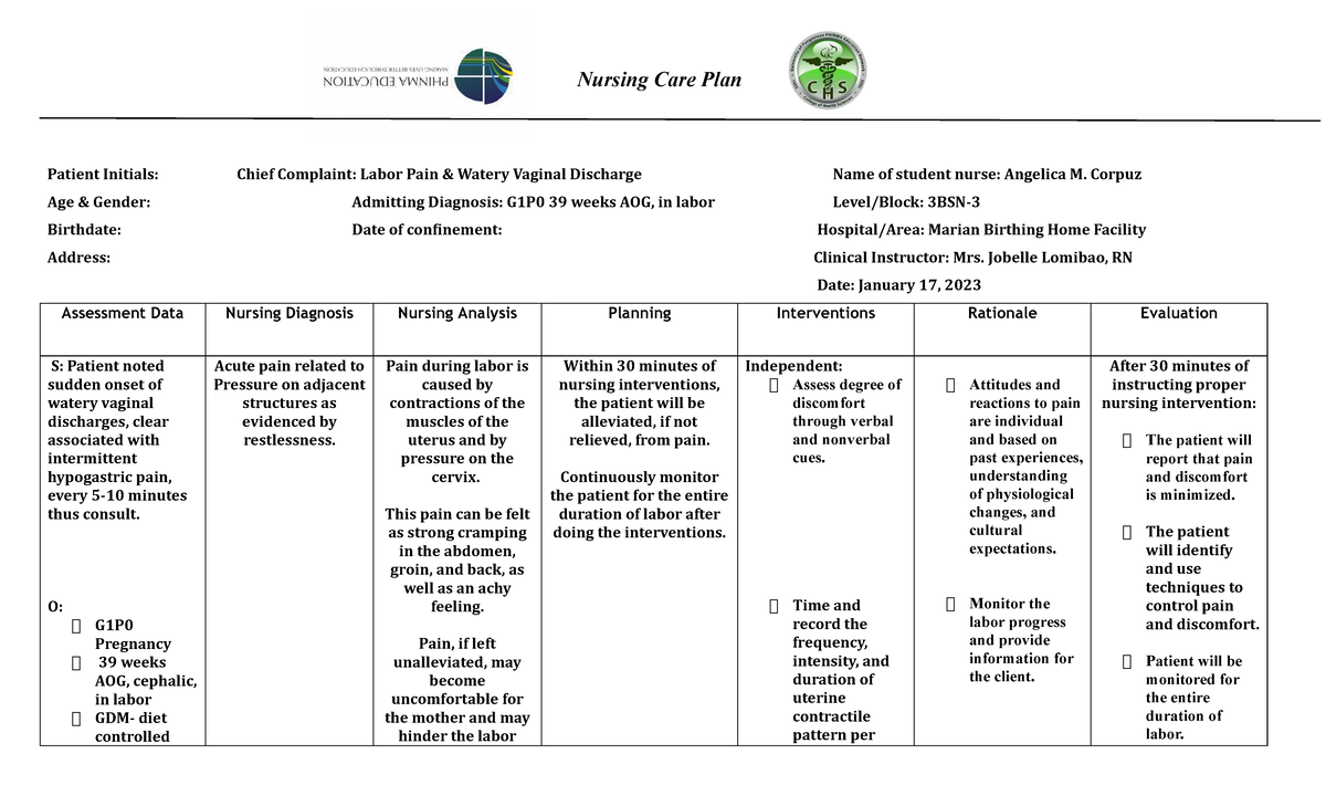 Nursing Care Plan DUTY - Nursing Care Plan Patient Initials: Chief ...