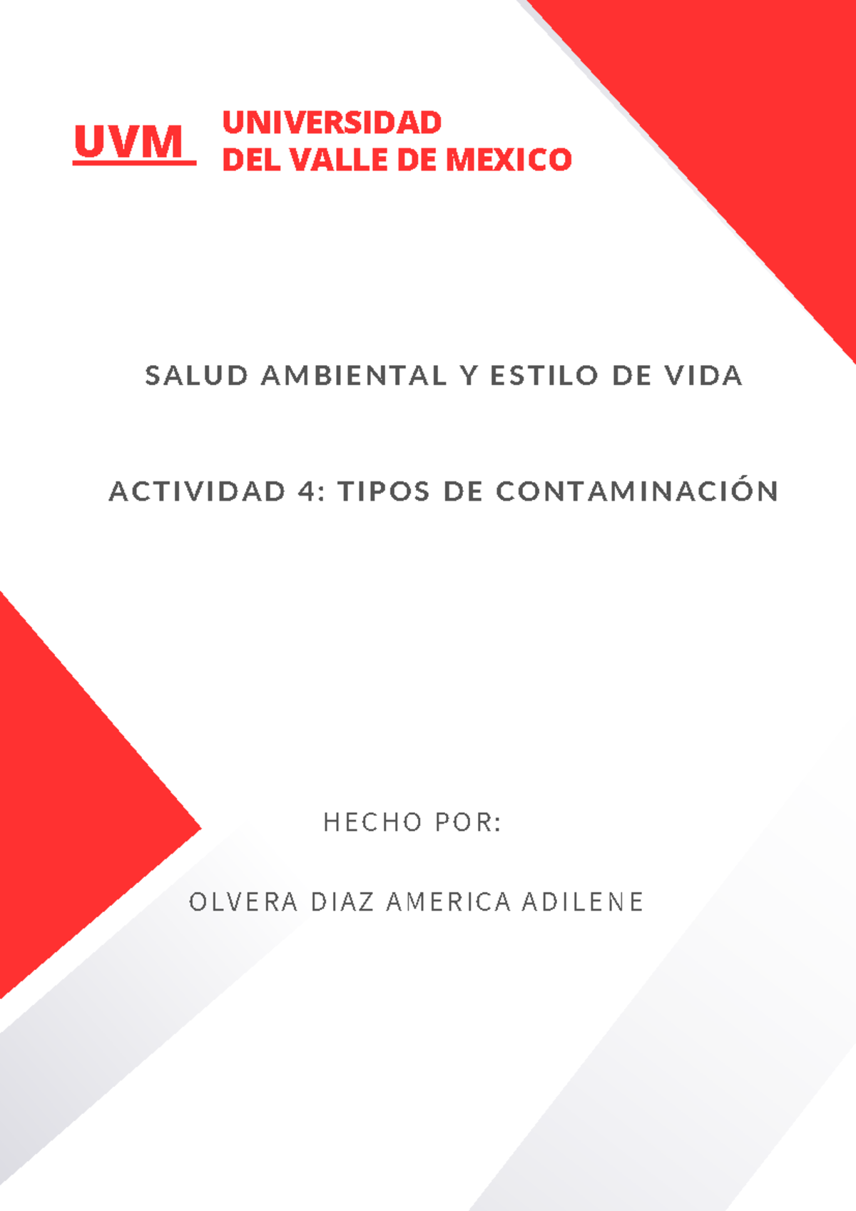 UVM SALUD AMBIENTAL Y ESTILO DE VIDA: TIPOS DE CONTAMINACIÓN - Studocu
