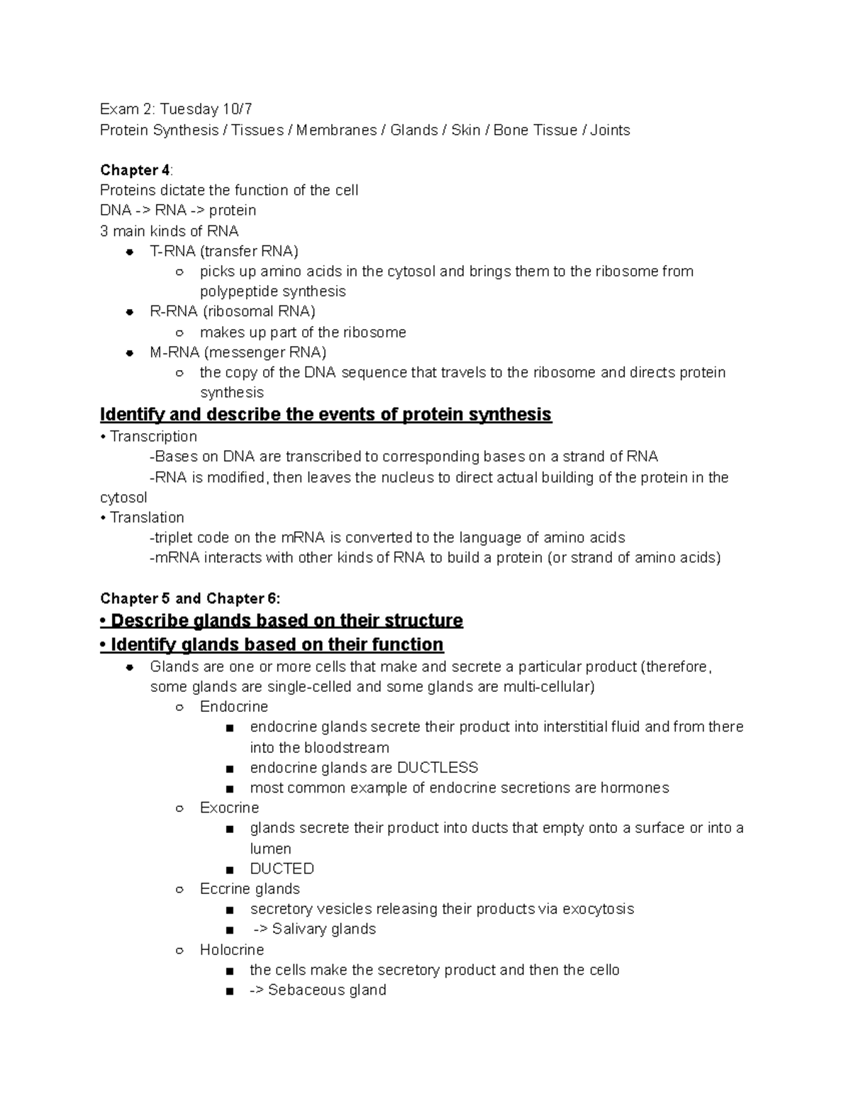 Anatomy Exam 2 Study Guide: Protein Synthesis, Tissues & Membranes ...