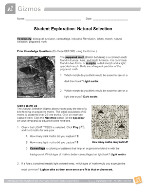 Project Analyzing an Example of Speciation - Assignment Use reliable ...