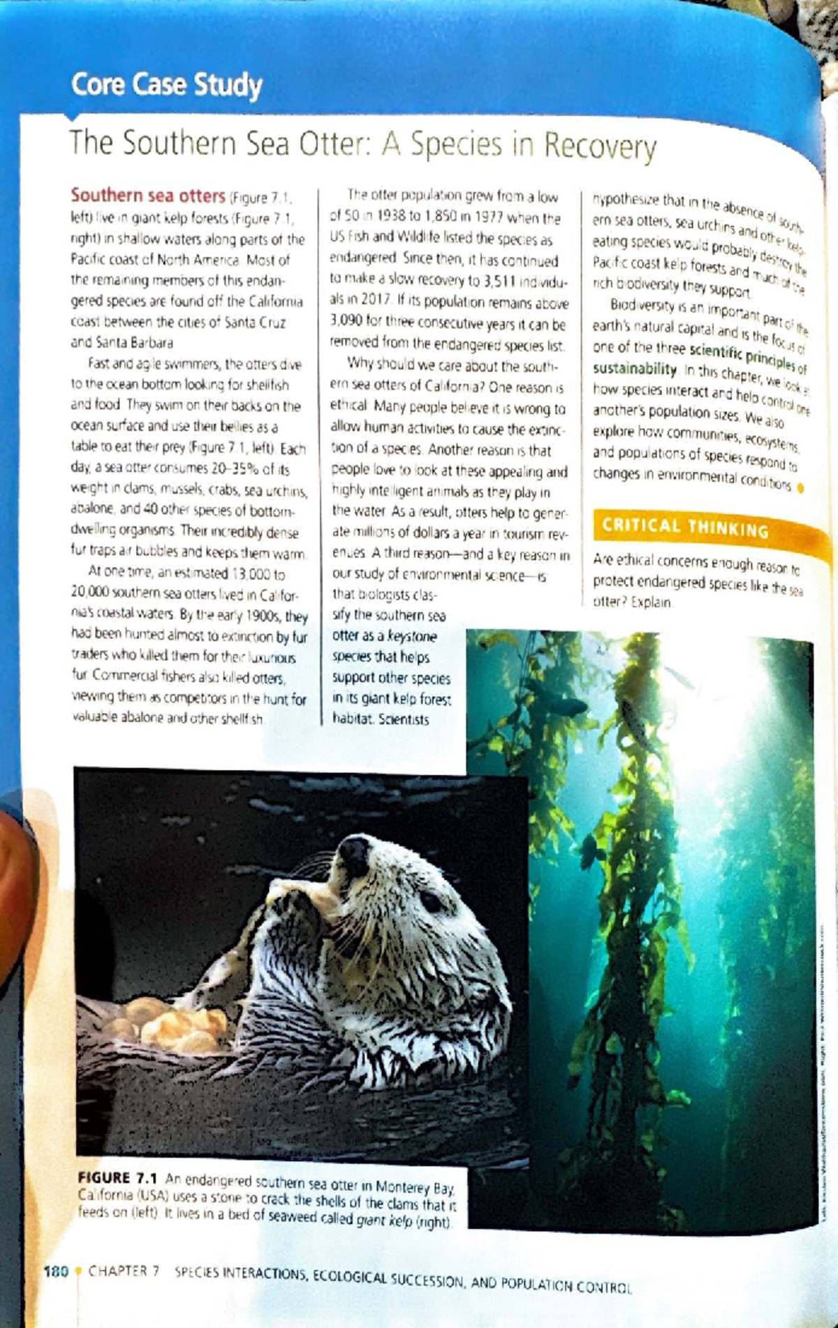 Core Case Study: Southern Sea Otter Recovery and Ecosystem Impact - Studocu