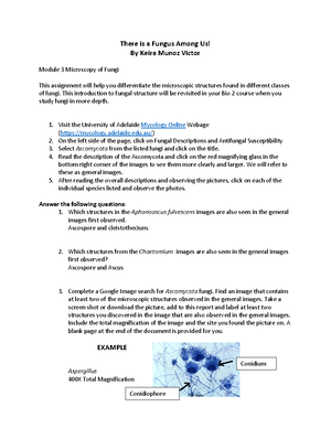 Module 2 Lab Report - no description - Lab Report 2 BSC2011L Evolution ...