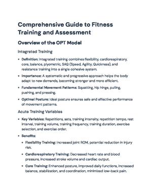 Comprehensive Guide to the OPT Model: Integrated Training Framework ...