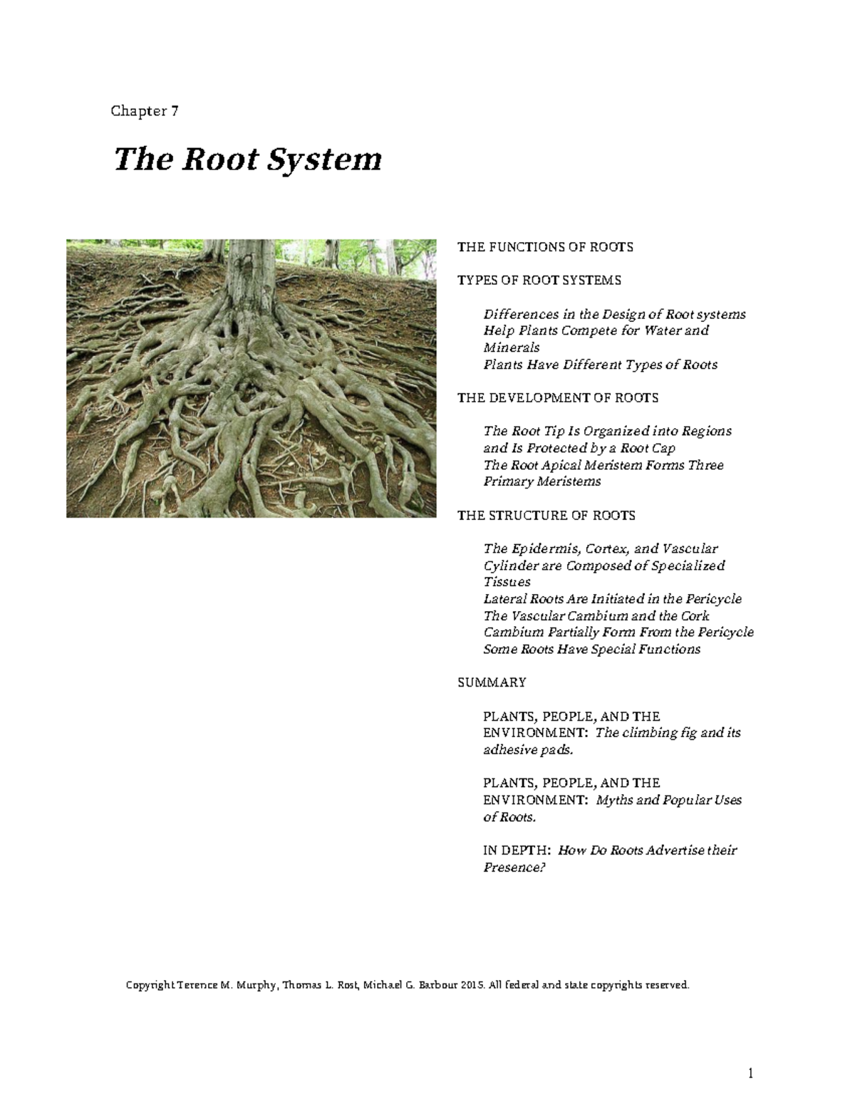 Chapter 7: The Root System - Functions, Types, and Development - Studocu