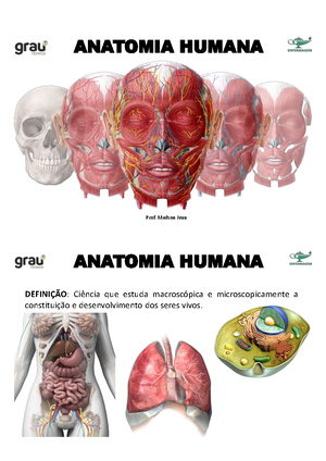 Anatomia e Fisiologia - PLANO DE CURSO – TÉCNICO EM ENFERMAGEM ...