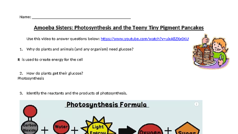 Amoeba Sisters: Photosynthesis Study Questions & Video wksh - Studocu
