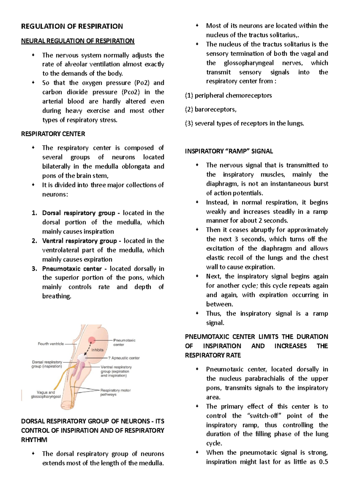 Regulation OF Respiration - with detailed explanation - REGULATION OF ...
