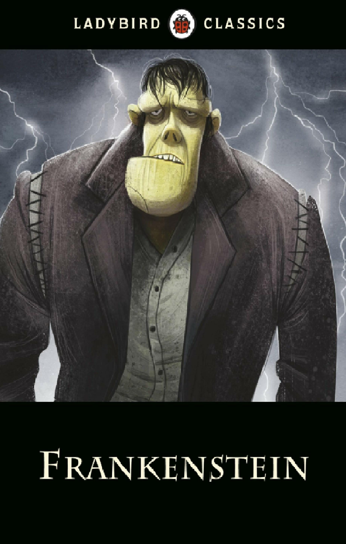 LADYBIRD CLASSICS: Frankenstein - Chapter Summaries & Analysis - Studocu