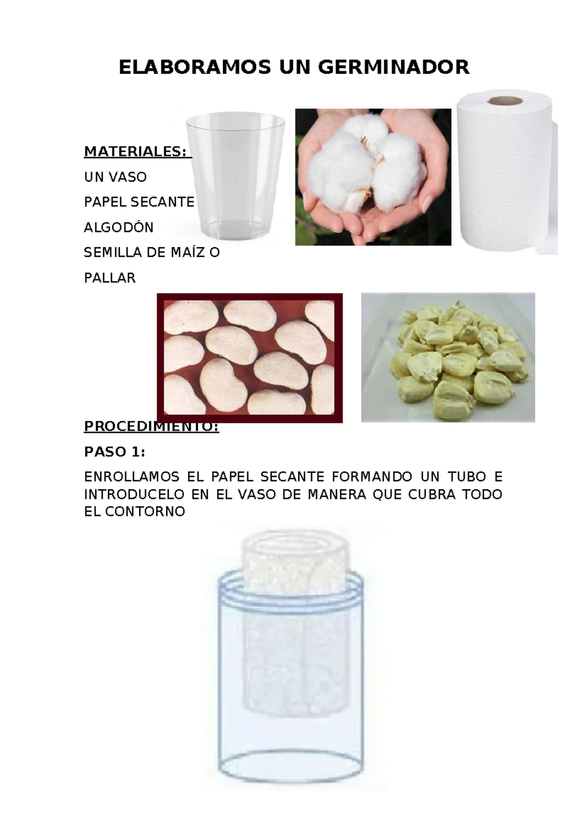 Elaboramos UN Germinador - Educacion primaria - ELABORAMOS UN ...