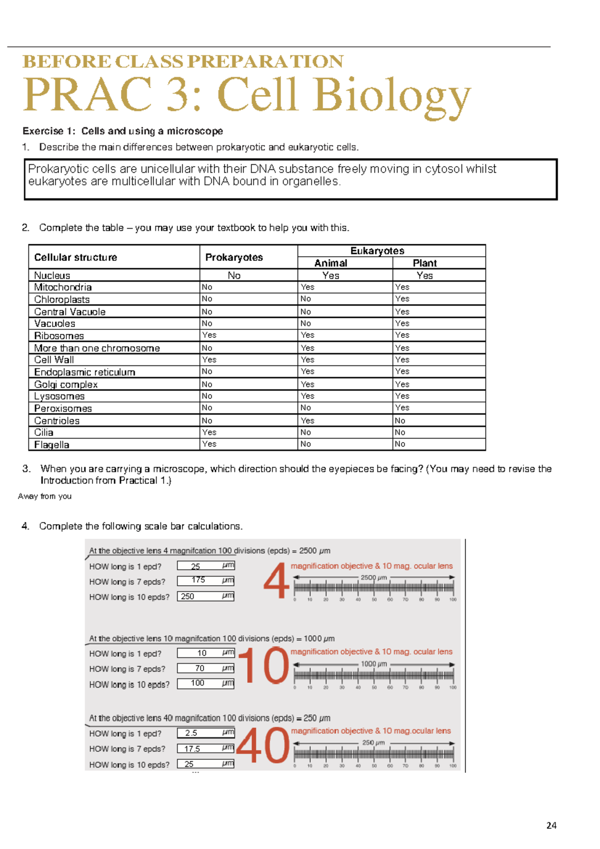 Lab W3 - Practical Notes: Prokaryotic vs Eukaryotic Cells and ...