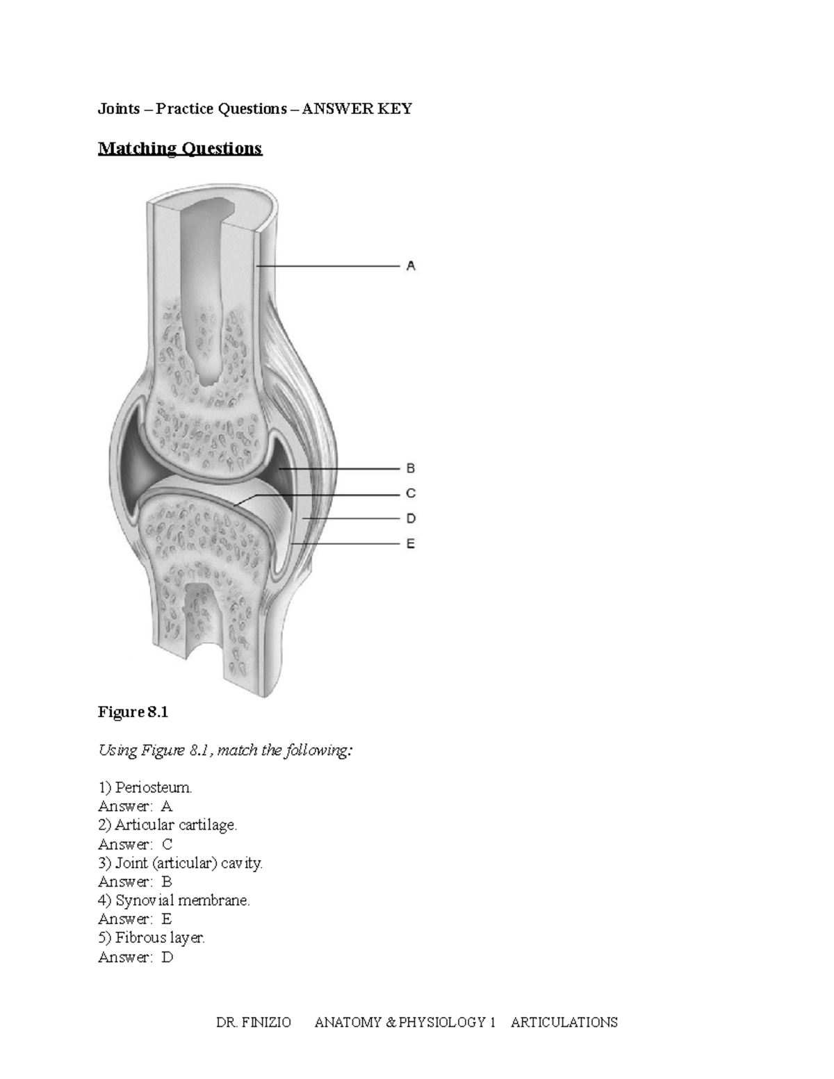 Ch 8 Answer KEY - Joints Practice Questions & Answers - Studocu