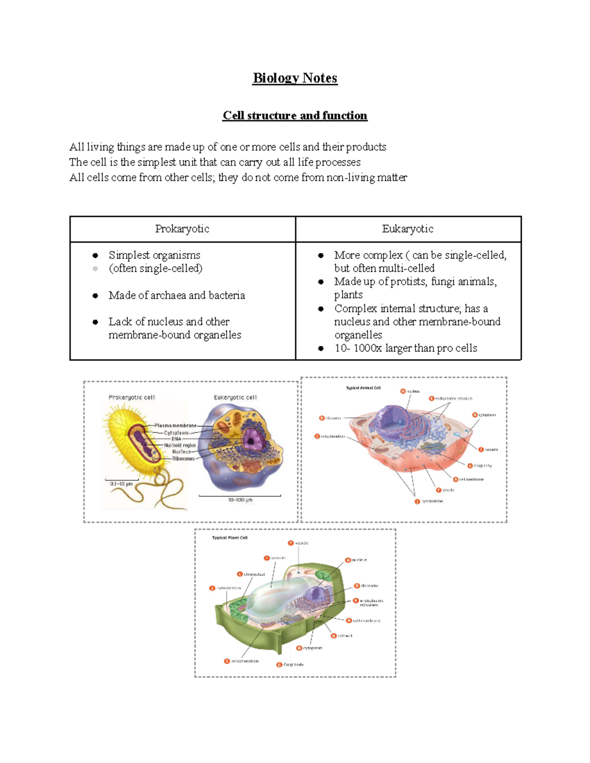 Biology notes - Biology Notes Cell structure and function All living ...