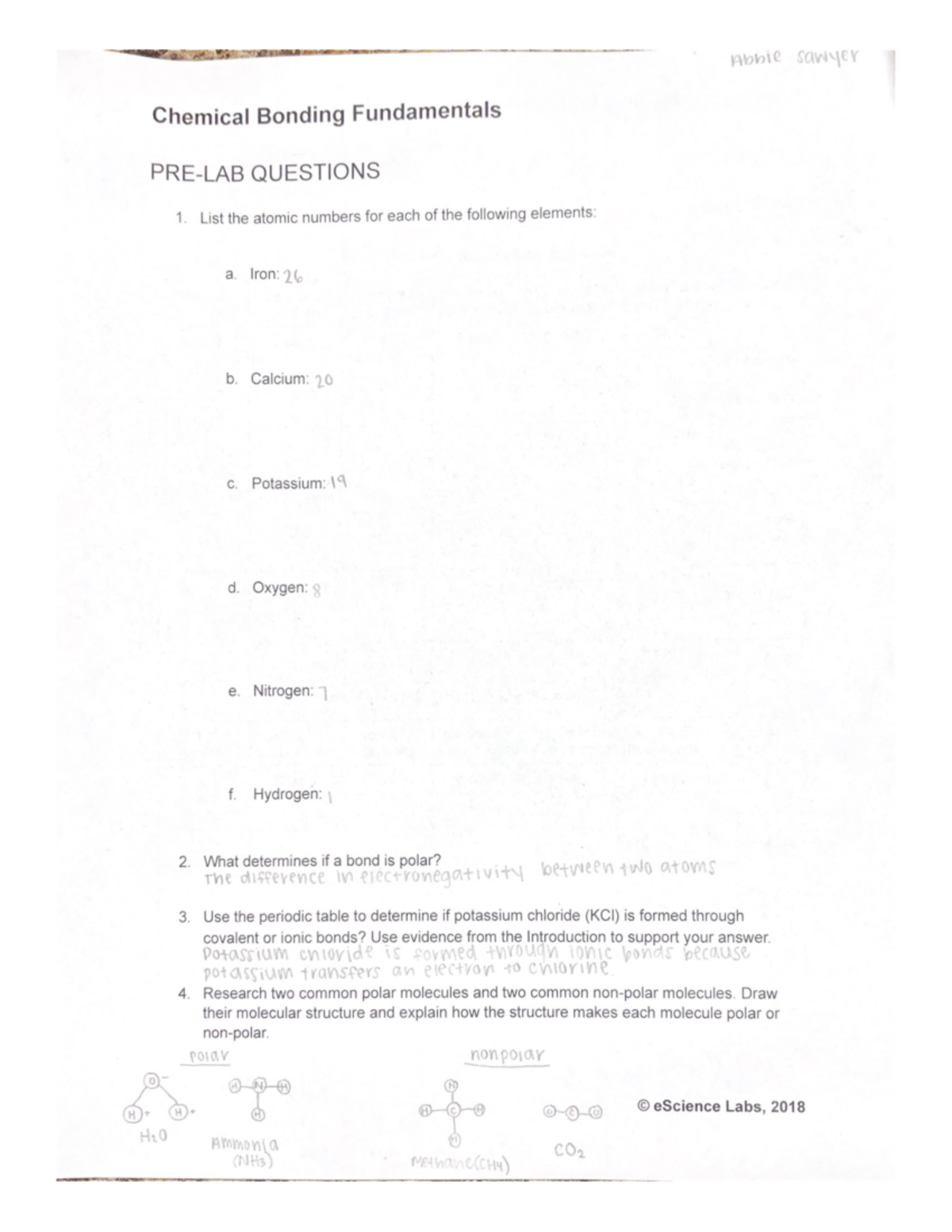 Lab 03 - Chemical Bonding Fundamentals - BIO-111 - Studocu