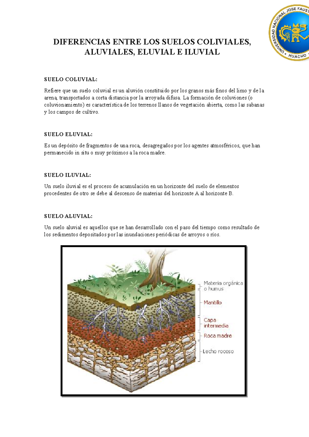 Diferencia DE Suelos - DIFERENCIAS ENTRE LOS SUELOS COLIVIALES ...