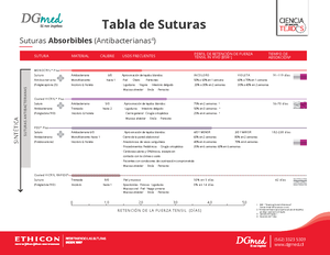Anatomia de recto y ano - AnAtoMíA dEl rEcto, conducto AnAl y ApArAto ...