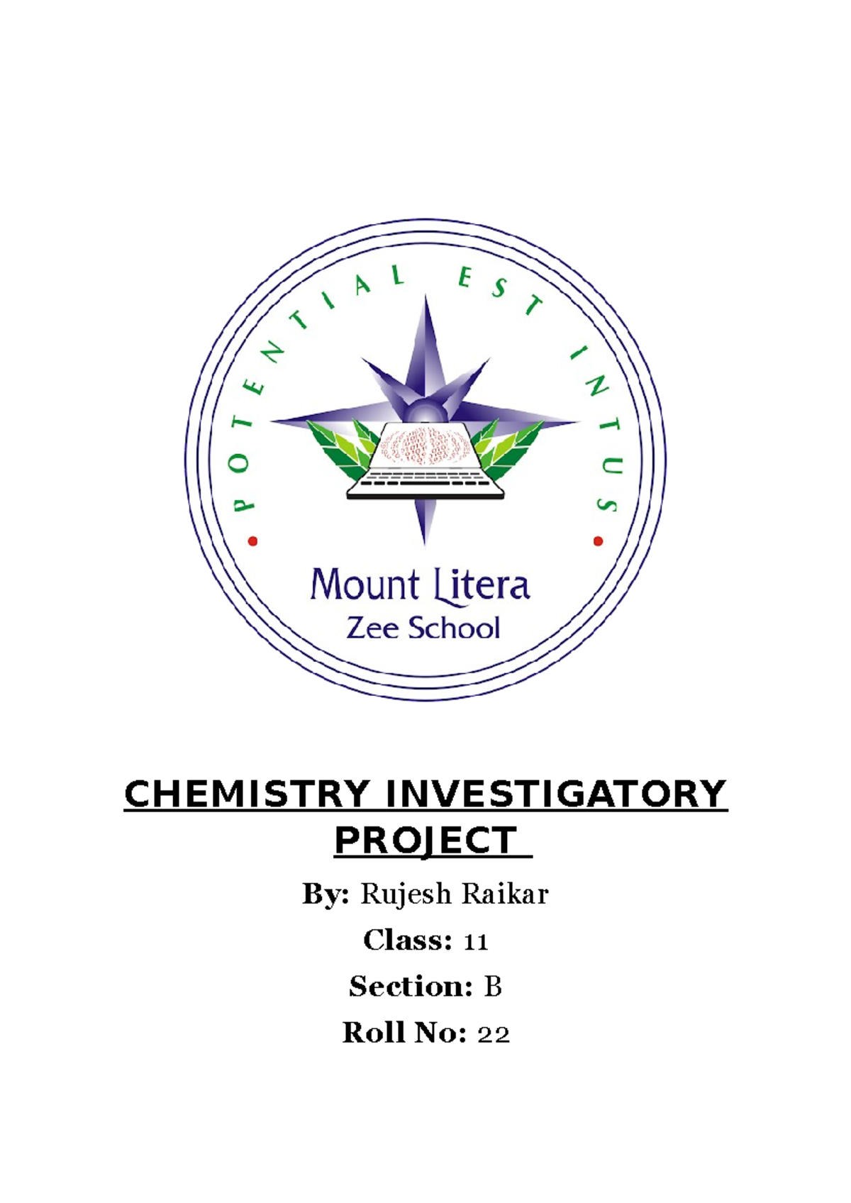 Chemistry Investigatory Project - Class 11 (Section B) by Rujesh Raikar ...