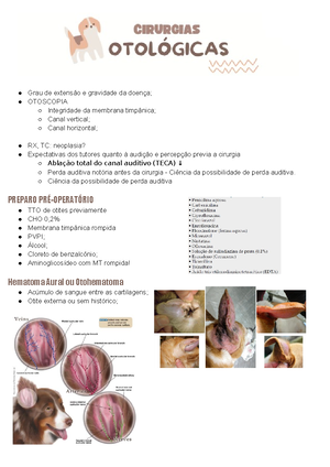 15- Nefrotomia, nefrectomia e uretrotomia (02 - NEFROTOMIA E ...