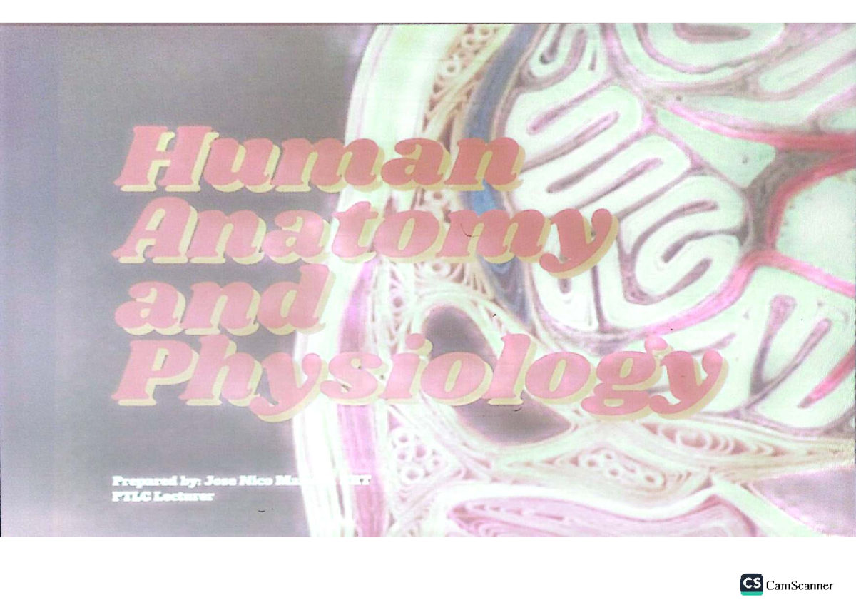 Anatomy Overview: Human Anatomy & Physiology CS - Surface Anatomy ...