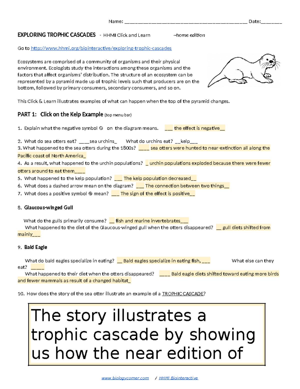 Exploring Trophic Cascades - 10-10 Biology Study Guide - Studocu