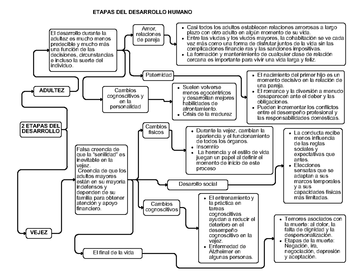 ETAPAS DEL DESARROLLO HUMANO: Adultez y Vejez - Mapa Conceptual - Studocu