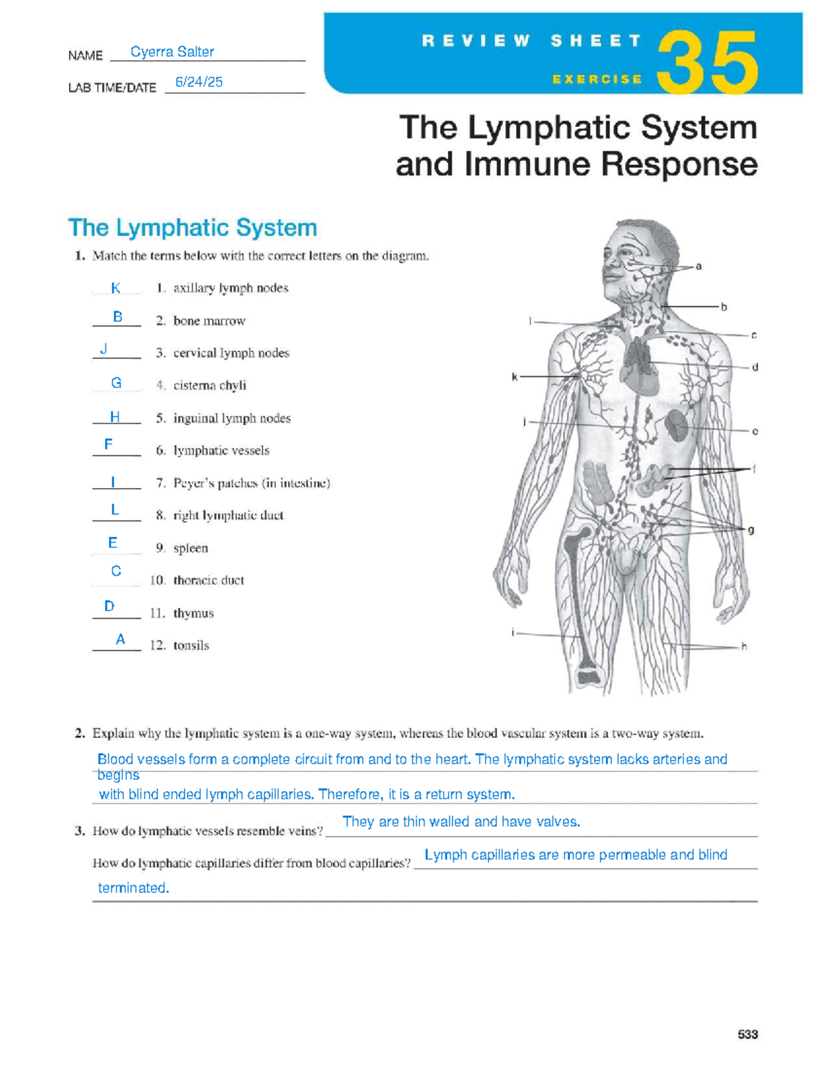 Lab Exercise 22: Lymphatic & Immune System Overview - Studocu