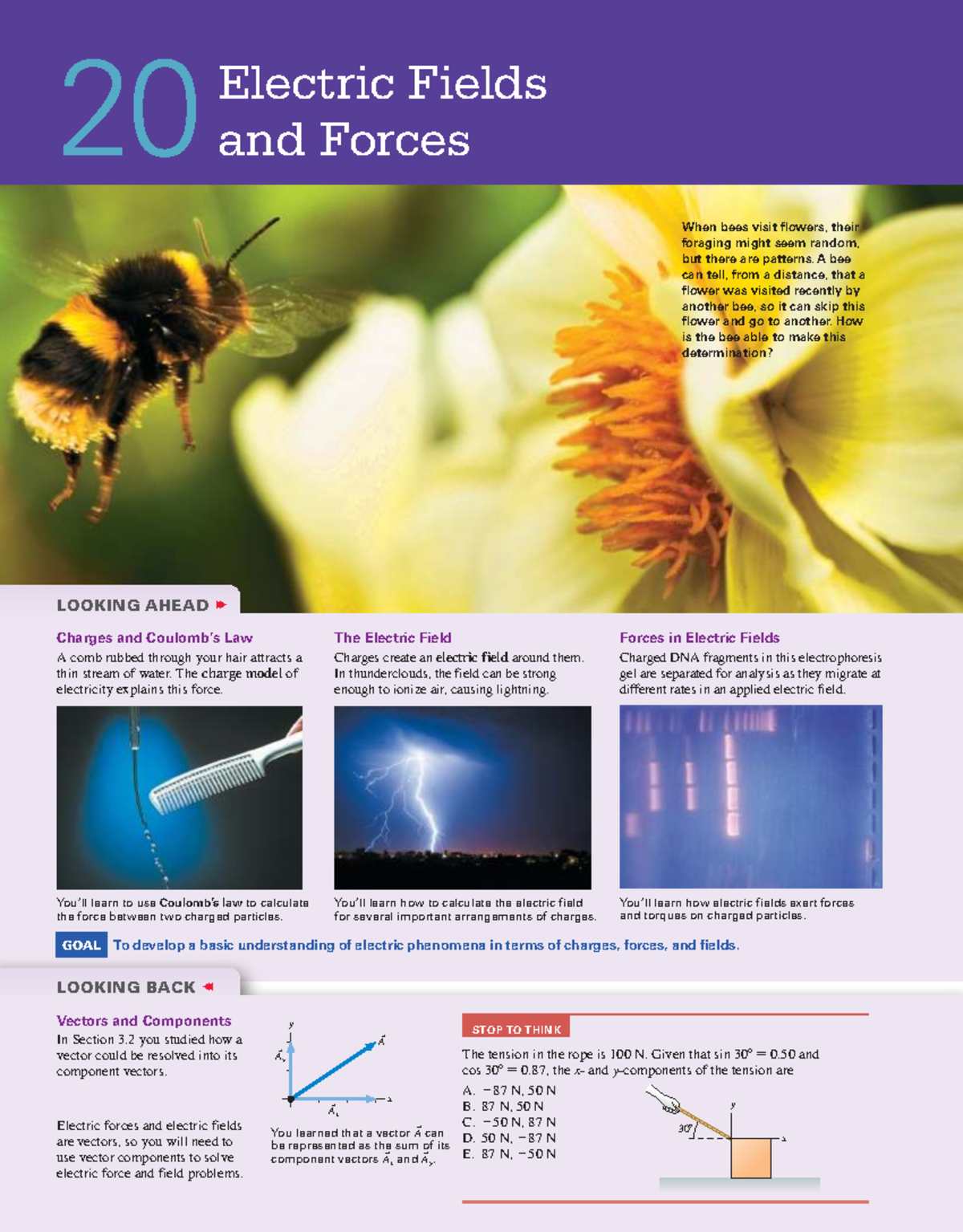 Electric Fields and Forces: Understanding Charges and Their ...