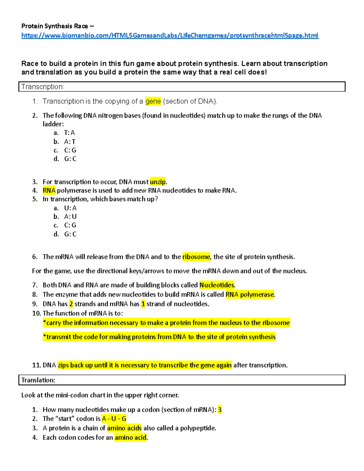 Protein Synthesis Race Worksheet - Stensgaard Study Guide - Studocu