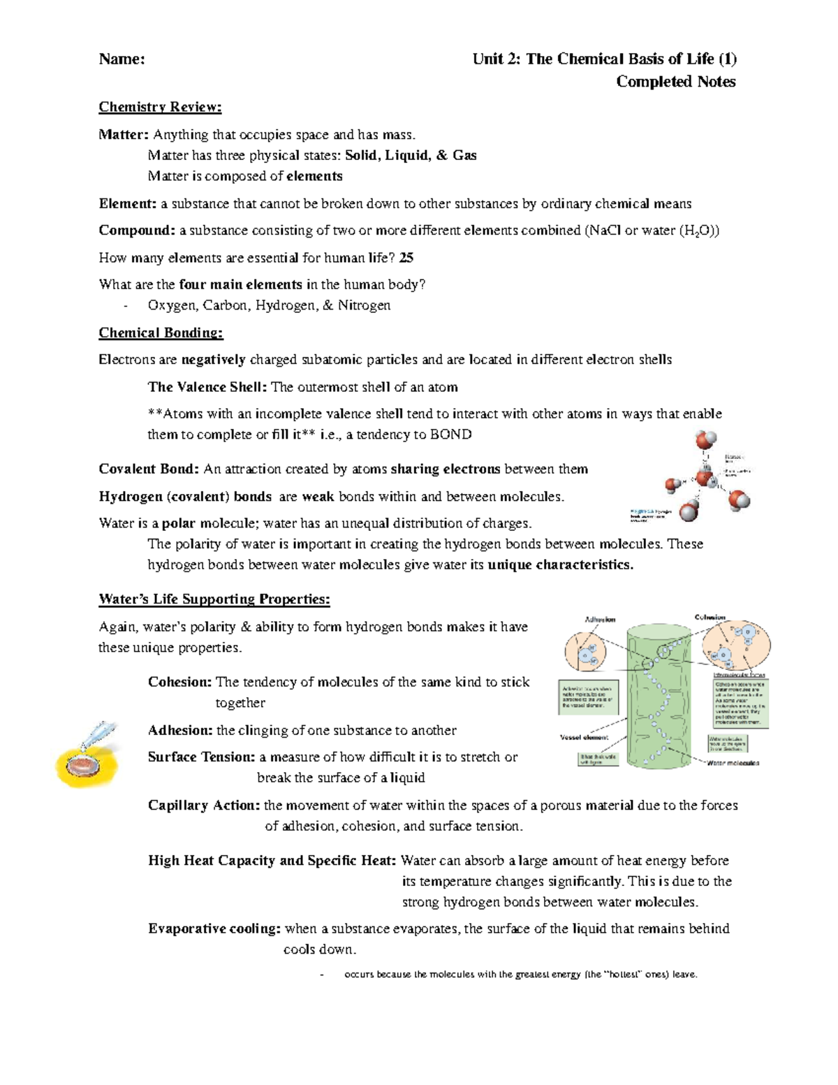 Unit 2: The Chemical Basis of Life - Comprehensive Review Notes - Studocu